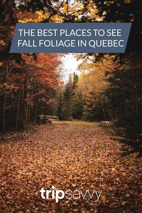 Wander Through Lush Fall Foliage In Quebec Quebec In Fall