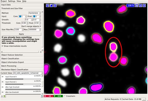 Ilastik Object Classification