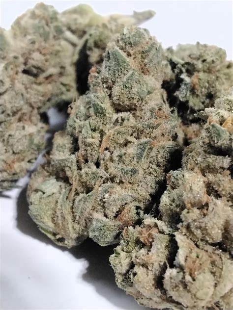 Grassroots Chemdawg Fluffy Spongey Buds With A Spicy Earthy And Faint Diesel Smell Not A Bad