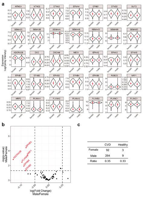 Inspection Of The Influence Of Sex As A Potential Confounding Factor