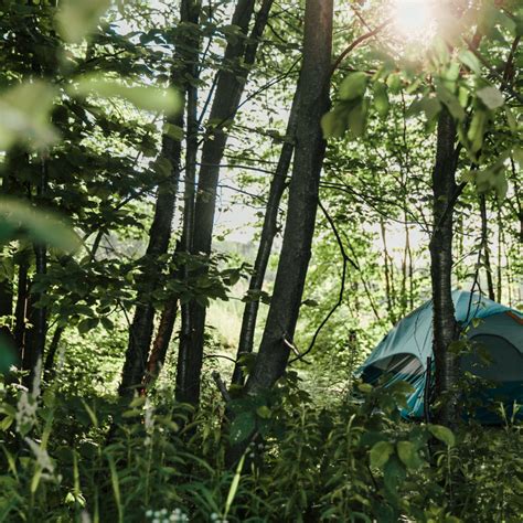 풀독 증상 및 예방 치료 네이버 포스트