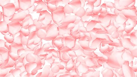 Pink Spring Cosmetics Romance Simple Powerpoint Background For Free Download Slidesdocs