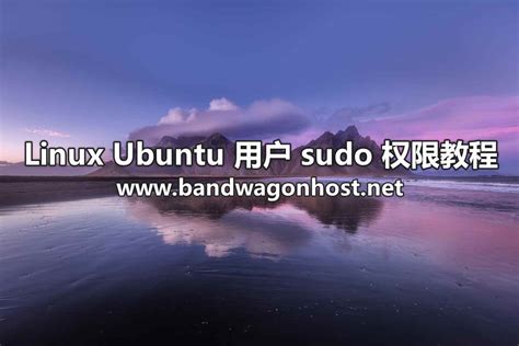 如何在 linux ubuntu 中添加和删除用户的 sudo 权限 bandwagonhost中文网 bandwagonhost中文网