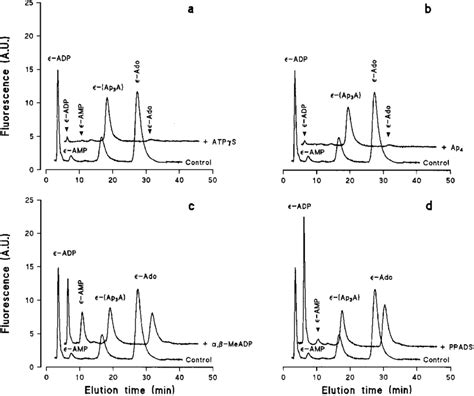 Inhibition By Atp Analogues And Ppads Of ε Ap 3 A Hydrolysis