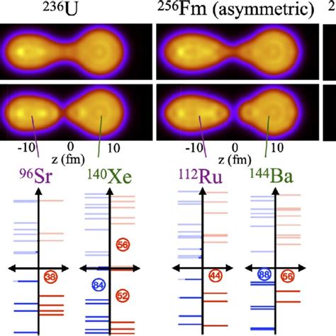 A The Density Distributions Of The Nuclei On Their Fission Path Just Download Scientific