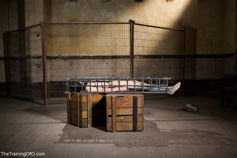 The Training Of O Performed By Cassandra Nix Owen Gray Sex Pictures