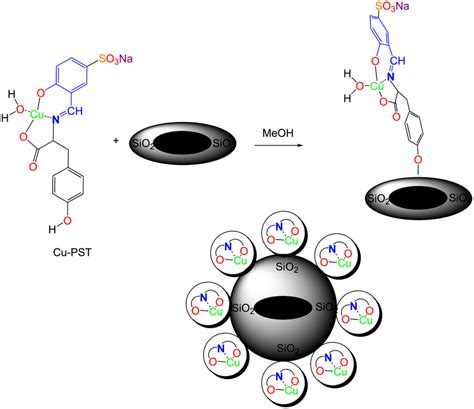 Immobilization Process Of Cu‐pst On Fe3o4‐sio2 Download Scientific Diagram