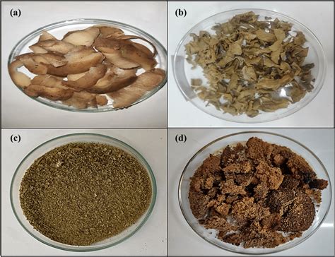 Different Stages Of Potato Peel Waste Ppw Processing Steps Showing
