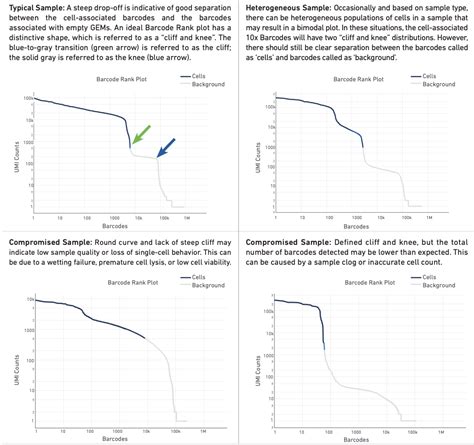 Single Cell Rna Sequencing Ngs Analysis