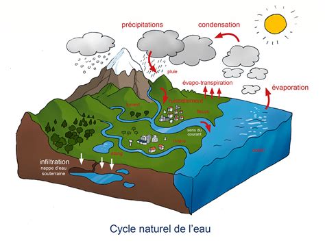Eau Et Environnement Syndicat Mixte Des Eaux De Seille Et Moselle