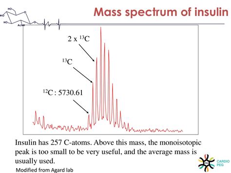 Ppt Mass Spectrometry Overview And Mass Spectrometry Of Proteins And Glycoproteins Powerpoint