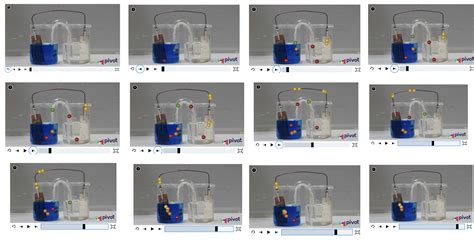 Solved 0 0 pivot sypivot pivot pivot 口 回 0 spivot pivot Chegg com