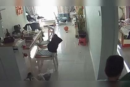 辽宁卫生间门掉落砸下 男孩秒反应稳稳接住