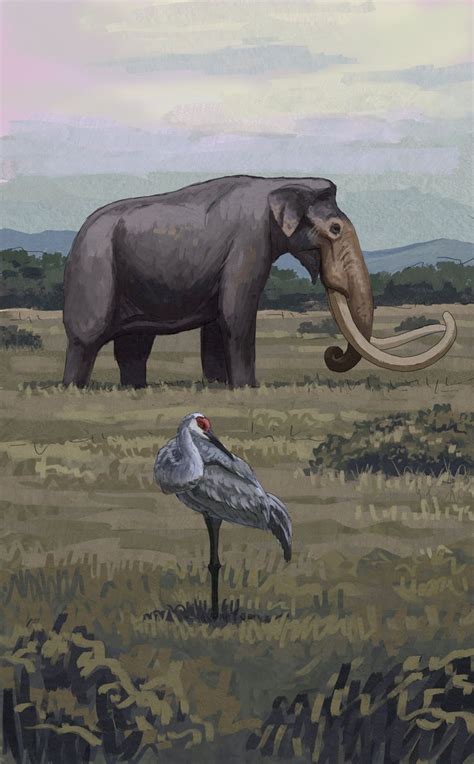 Somniosus Insomnus💤🦈 Somniosusw Twitter Mamíferos Animais Pré Históricos Pré História