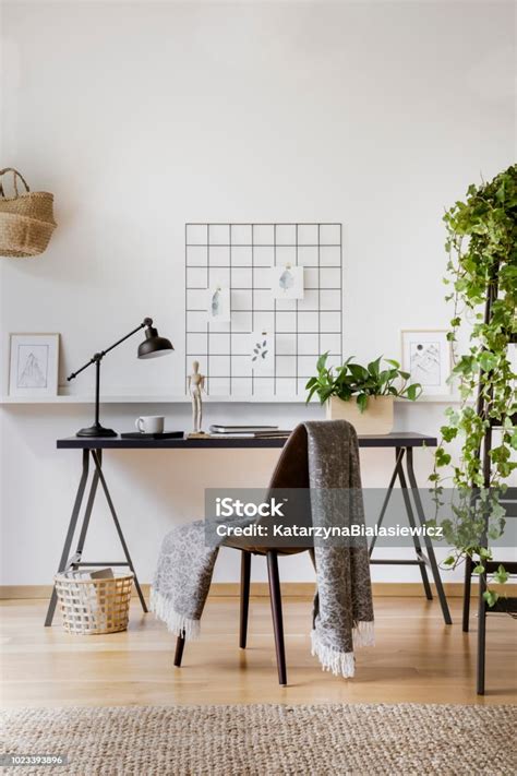 원격 작업 간단한 포스터 나무 바닥 식물와 화이트 거실 인테리어의 실제 사진에 대 한 데스크의 자 서에 던진 담요 가구에 대한 스톡 사진 및 기타 이미지 Istock