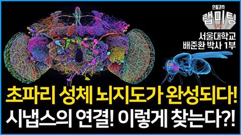 [네이처 특별발표 ]초파리 성체의 뇌지도가 완성되다 최초의 뇌지도로 우리는 무엇을 알 수 있을까 커넥톰이란 무엇인가 서울대학교 배준환 박사 1부 Youtube