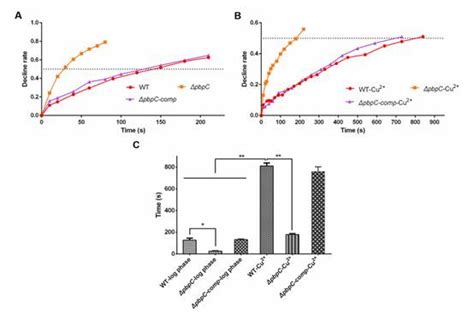 人才强校 中国农大李健强 罗来鑫课题组在细胞壁结构层面解析番茄溃疡病菌抵抗逆境机制方面取得新进展