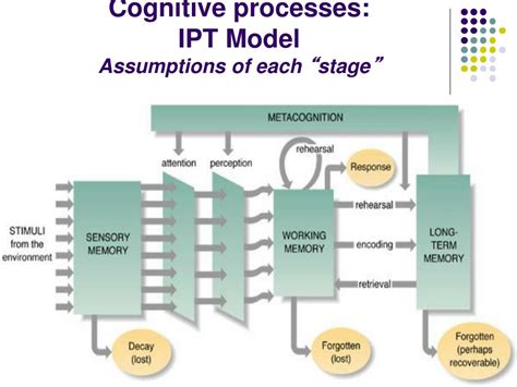 Ppt Information Processing Theory Powerpoint Presentation Free Download Id 5838535