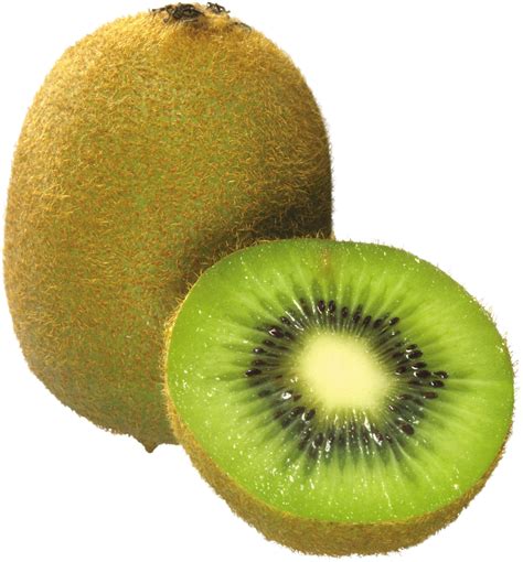 Kiwi Png Free Kiwi Png Images Uwubp