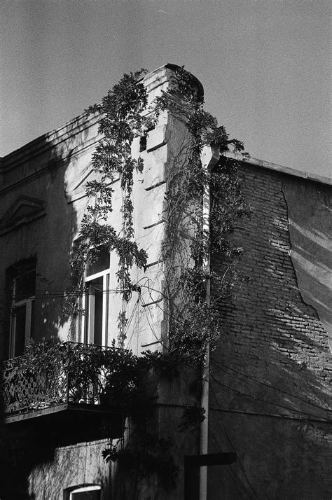 Untitled Chemotaxis Flickr