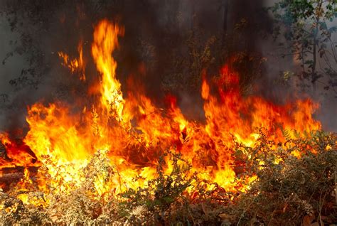 Linstinct Du Rock Brut Et Indomptable Avec Ultan Sur Wildfire Fever Extravafrench