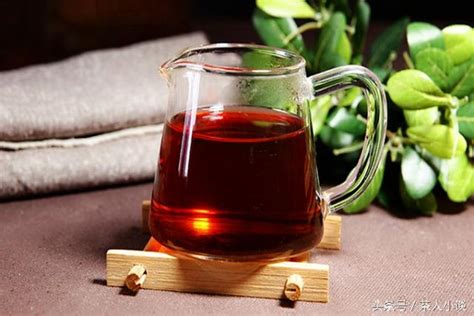 市面上什麼樣的普洱茶值得儲藏？ 每日頭條