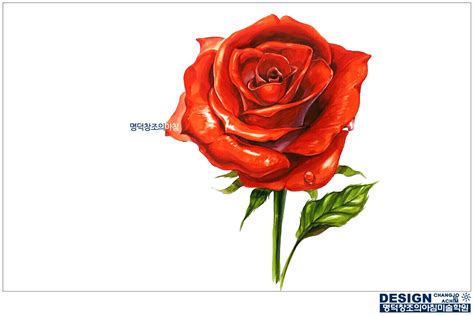 그림잘그리는학원 명덕창조의아침 대구미술학원 대구입시미술학원 창조의아침 미술학원 입시미술 기초디자인 개체묘사