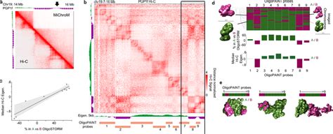 Ambiguous Hi C Compartment Intervals Have High Heterogeneity A Hi C Map Download Scientific