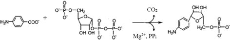 Purification Kinetic Characterization And Site Directed Mutagenesis Of Methanothermobacter