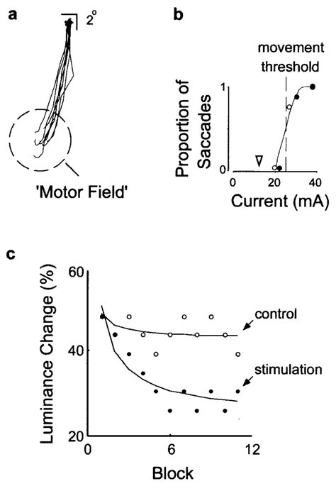 Illustration Of A Typical Stimulation Experiment And The Effect Of Download Scientific Diagram