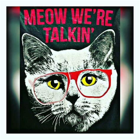 Nerd Cat Tshirt Cat Tshirt Nerd Book Cover