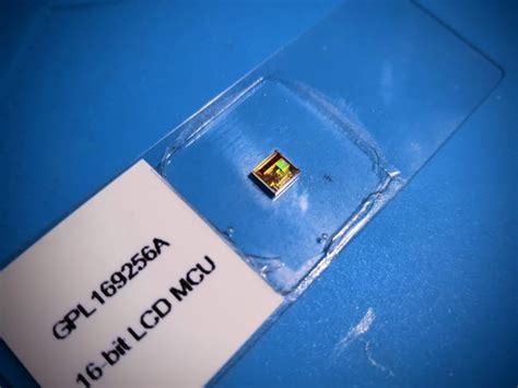 Need Advice About These Cpu Mounted Slides Rmicroscopy