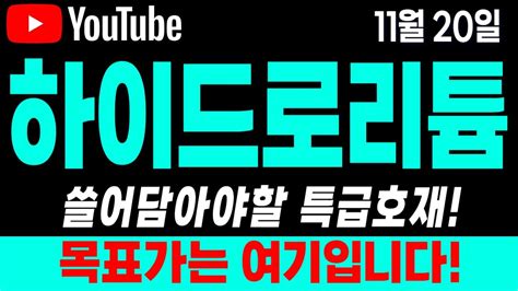 하이드로리튬 주가전망 11월20일 쓸어담아야할 특급호재 목표가는 여기입니다 긴급속보 긴급대응 대응전략 차트분석