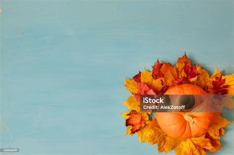 호박과 가을은 파란색 나무 배경에 잎 추수 감사절과 할로윈 개념 위에서 볼 수 있습니다 맨 위 보기입니다 텍스트 및 디자인 공간을 복사합니다 추수감사절에 대한 스톡 사진 및