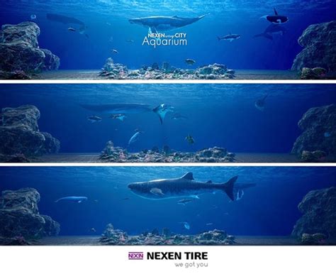 넥센타이어 국립해양박물관 협업으로 미디어 아트 콘텐츠 전시