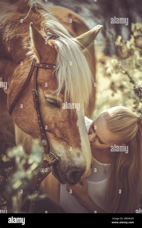 A Young Blonde Woman And Her Haflinger Horse Enjoying Their Time In