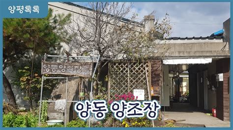 양평군 양동양조장 제4기 Sns 서포터즈 노재황 Youtube