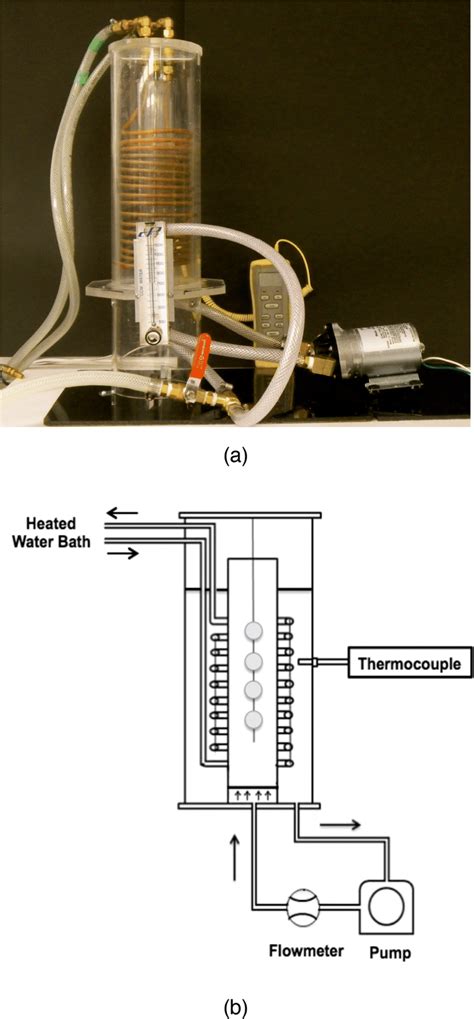 A The Osmotic Dehydration System With Solution Circulation B Schematic Download Scientific