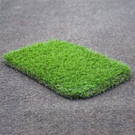 Order Free Grass Samples Free Shipping