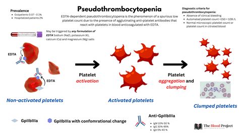 Postscript • The Blood Project