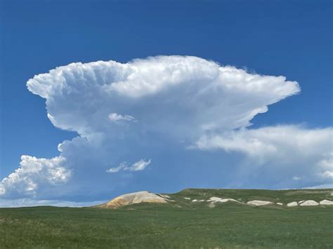 Worlds Largest Snapping Turtle Nebraskaland Magazine