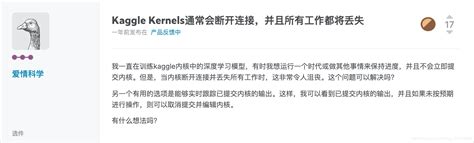 用kaggle Kernel跑程序，跑一会儿就断开了是怎么回事？kaggle运行暂停 Csdn博客