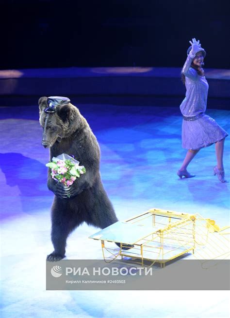 Всемирный фестиваль циркового искусства Идол 2014 Гала шоу РИА Новости Медиабанк