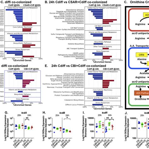 Pathway Enrichment Analyses Of In Vivo C Difficile Transcriptomes