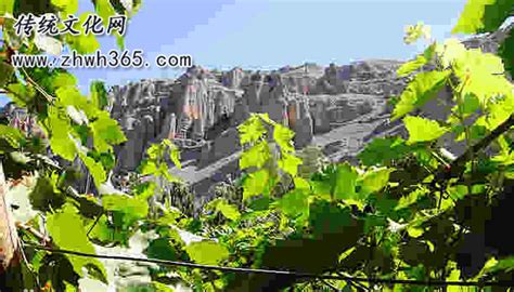 吐鲁番葡萄沟飘逸在盆地中央的一条绿色丝带 国学网 国学经典 国学大师 国学常识 中国传统文化网 汉学研究