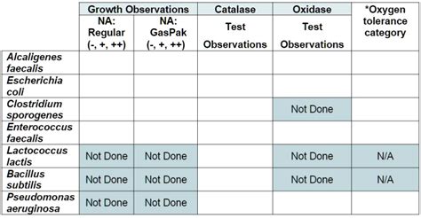 Solved Growth Observations Na Na Regular Gaspak Catalase Test