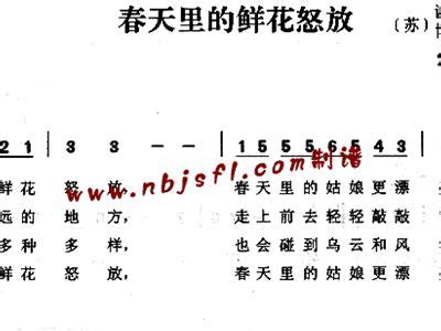 春天里的鲜花怒放 歌谱 简谱