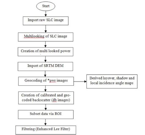 1 Flow Chart Of Sar Pre Processing Download Scientific Diagram