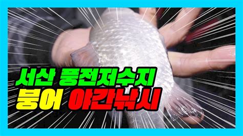 ep 292 서산 풍전저수지 붕어 야간낚시 YouTube