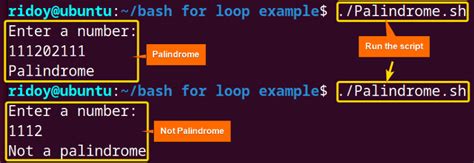 10 Common Bash “for” Loop Examples Basic To Intermediate Linuxsimply